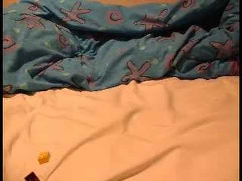 Pikachus Adventure