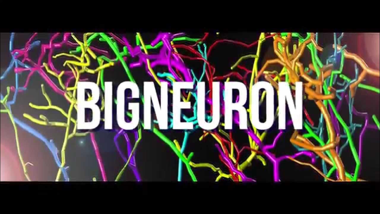 Introducing BigNeuron - YouTube