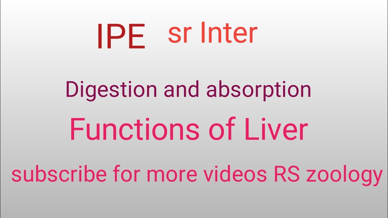 Functions of liver|Digestion and Absorption| - YouTube