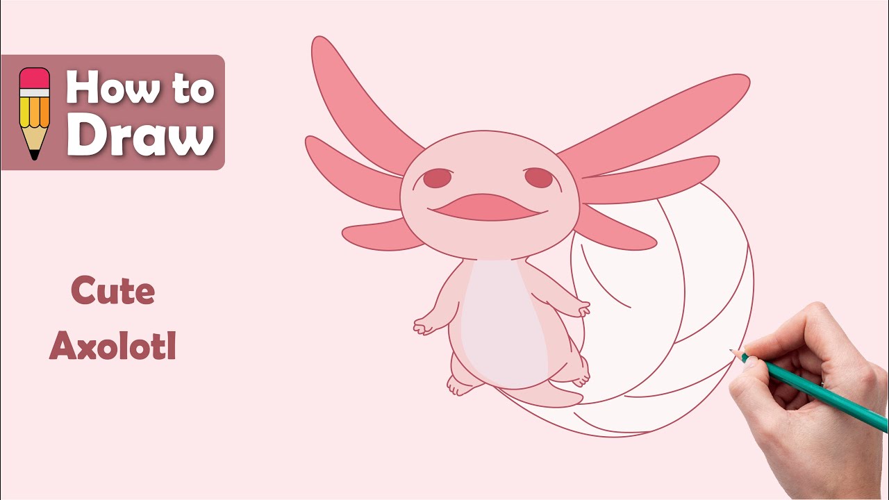 🎨 How to Draw a Cute Axolotl 🎨 Easy & Fun! #AxolotlArt #KawaiiDrawing ...