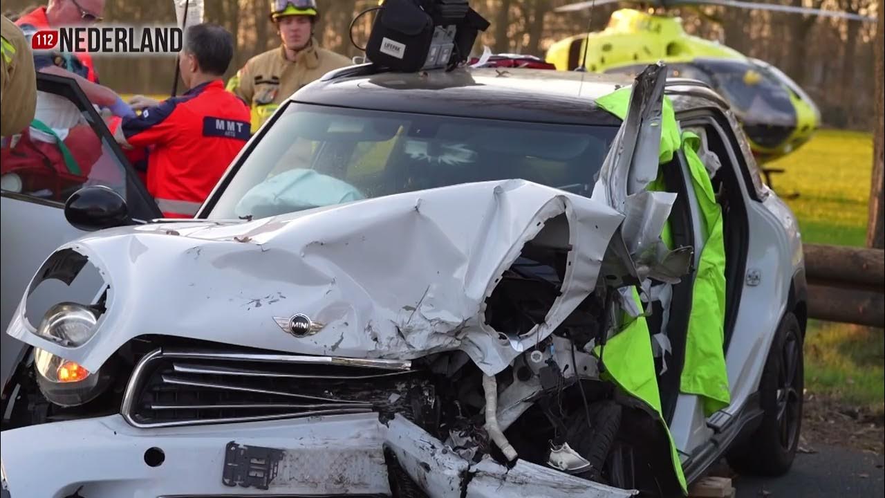 Hond overleden bij frontale botsing tussen twee auto's in Lieshout, inzittenden gewond - YouTube