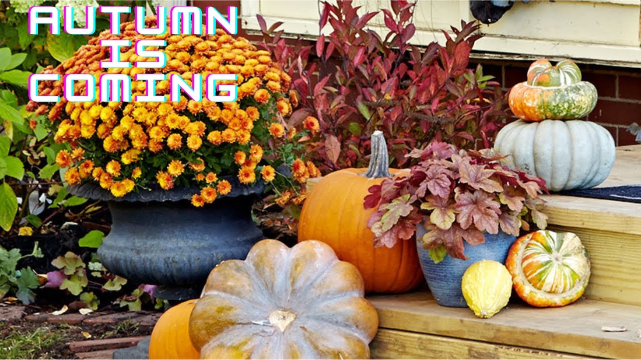 Autumn Garden ideas: Embrace the Colors of Fall Gardening Magic! Join ...