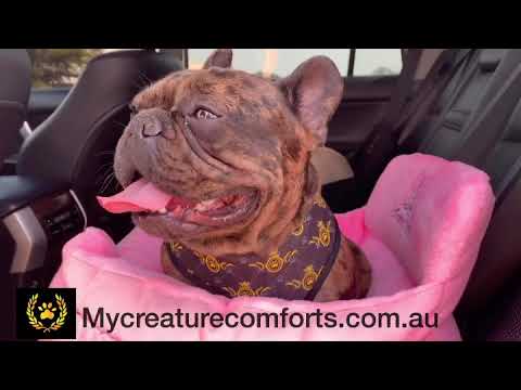 My Creature Comforts - YouTube