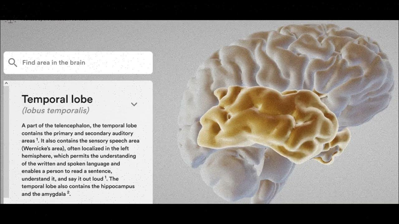 V2K (voice-to-skull) recorded in four homes in Southern Oregon. One of ...