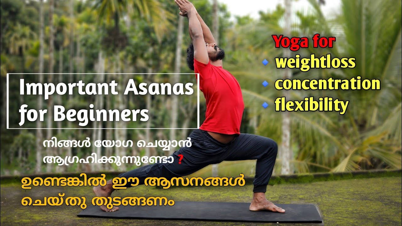 Important yoga asanas for beginners /തുടക്കക്കാർ ചെയ്തിരിക്കേണ്ട യോഗ ...