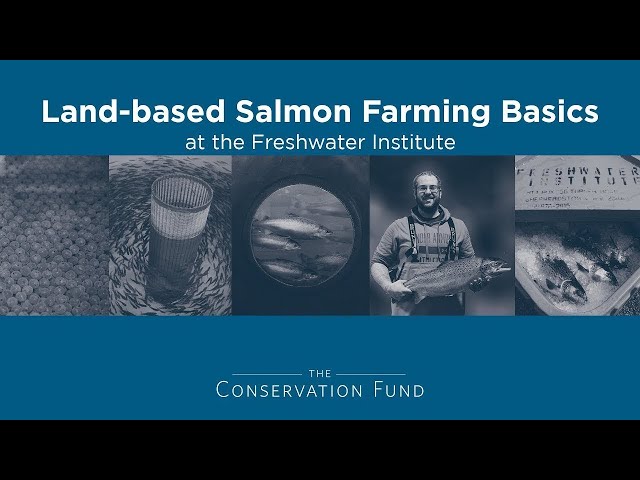 RAS Videos - Land-based Aquaculture for Atlantic Salmon