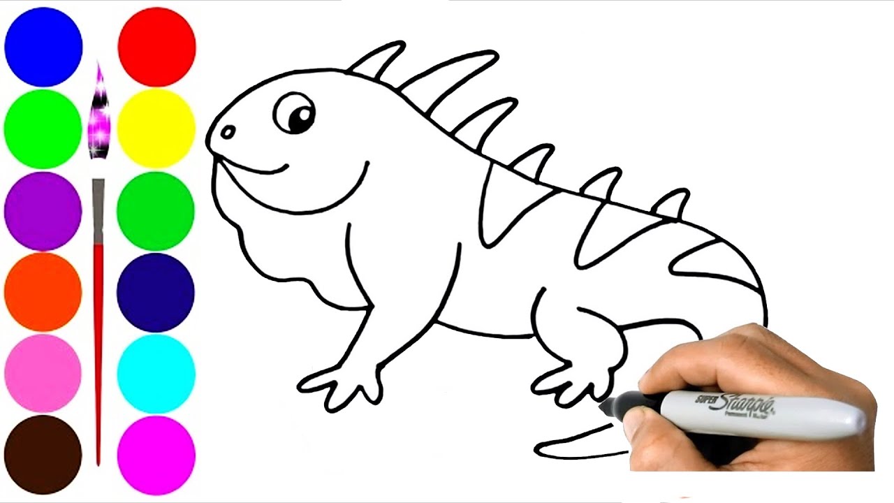 How to DRAW an IGUANA Easy Step by Step Drawing Animals - YouTube