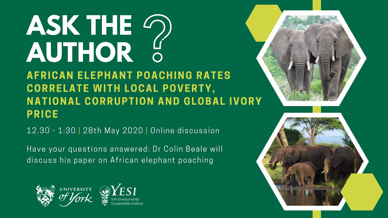 Ask the Author: African Elephant Poaching Rates - YouTube