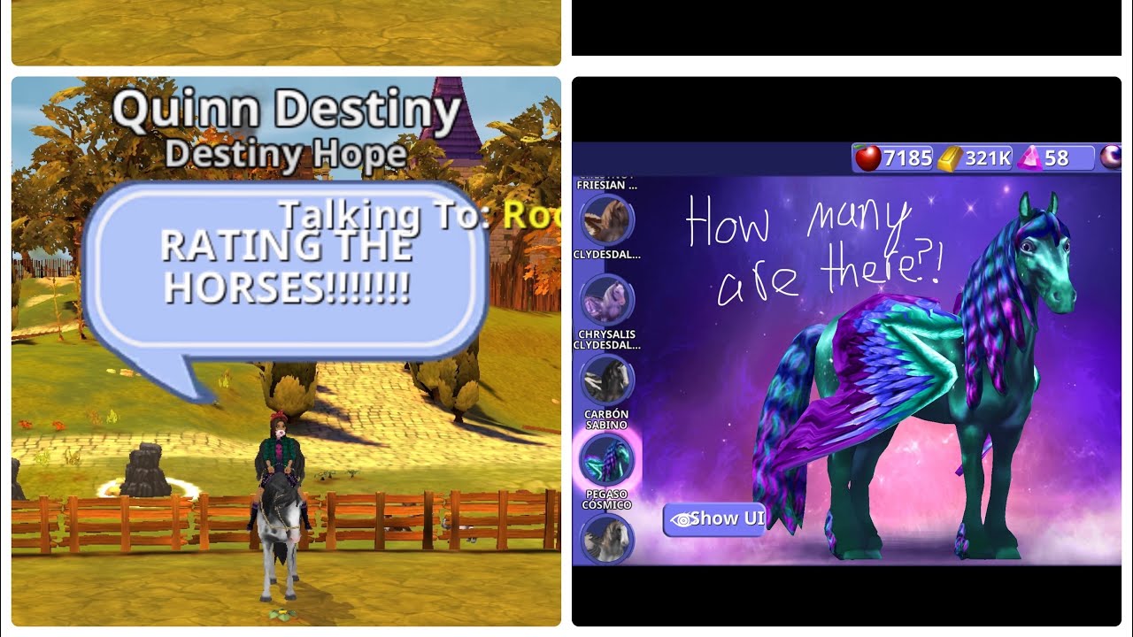 Rating The Hrt Horses From 1 to 5 | Horse Riding Tales | Quinn Destiny ...