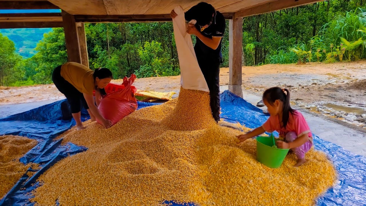 Pouring moldy corn kernels, Repairing fish pond banks, Weeding for ...