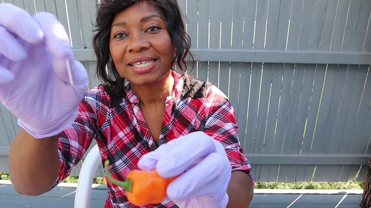 How To Store Peppers. String Peppers 3 Ways - YouTube