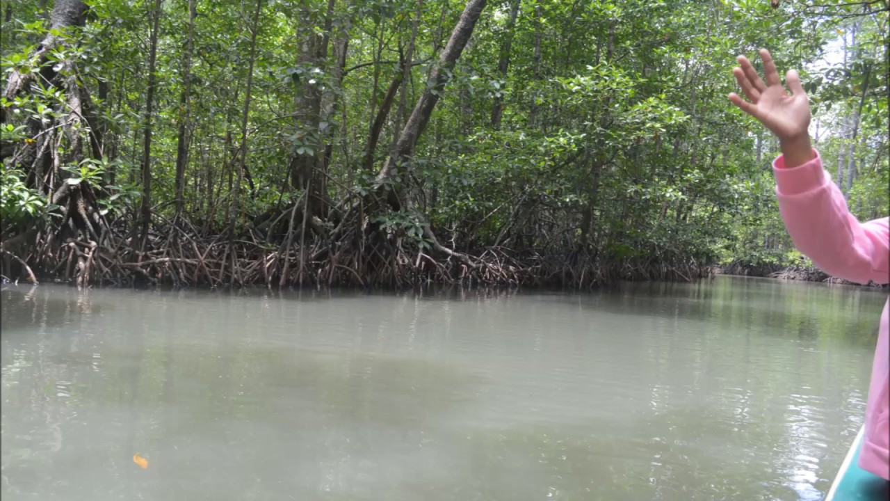 San Vicente Palawan March - YouTube