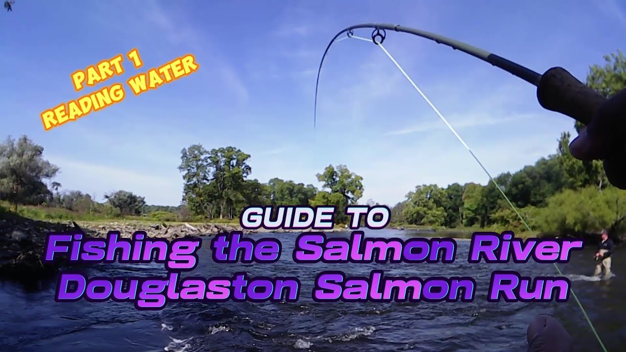 Tips on fishing the Salmon River using Google Earth. Douglaston Salmon ...