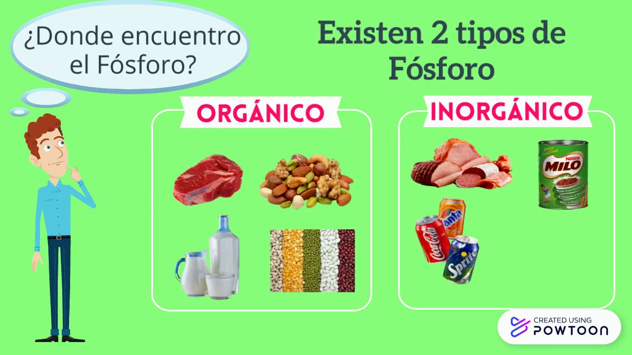 Fosforo Alimentos