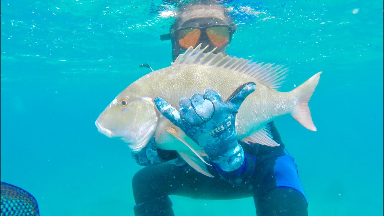 Huge Mutton Snapper Caught at Brewers Bay🌴 - YouTube