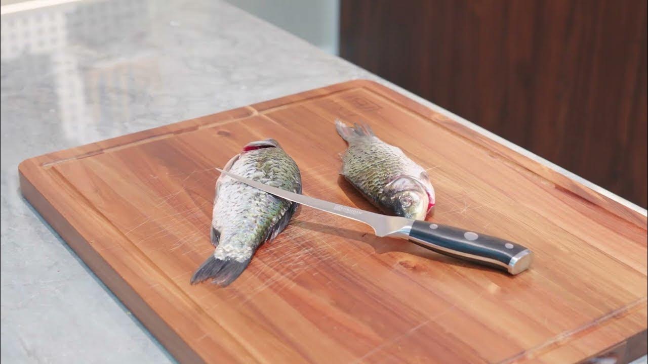 "Is the PAUDIN D10 Fillet Knife the Ultimate Tool for Perfect Fillets?" - YouTube