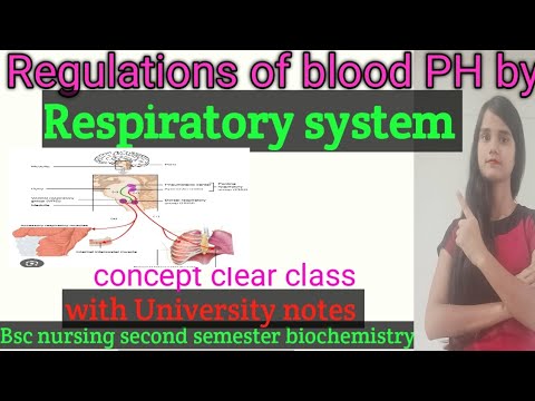 Blood pH maintenance by respiratory system #biochemistry - YouTube