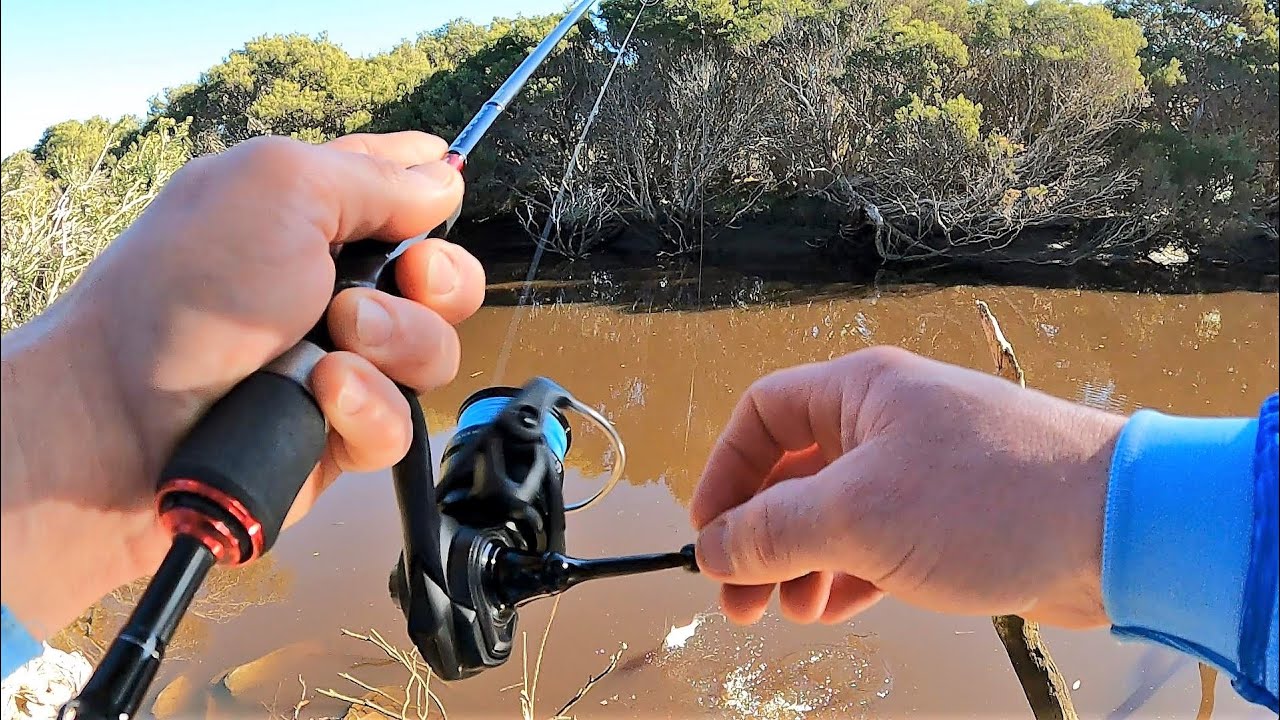 EXPLORING NEW RIVER// WHAT DO I CATCH// SNAG CENTRAL - YouTube