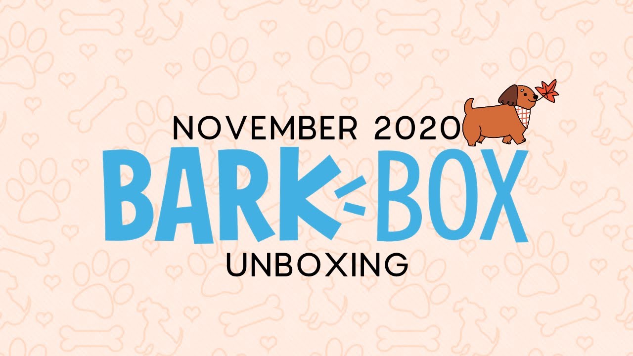 November 2020 BarkBox Unboxing - YouTube