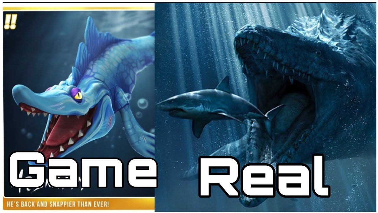 HUNGRY SHARK WORLD-sharks in real life | part 2 - YouTube