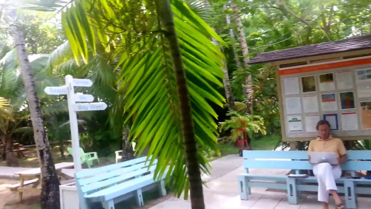 A day in the Sivananda Ashram, Bahamas - YouTube