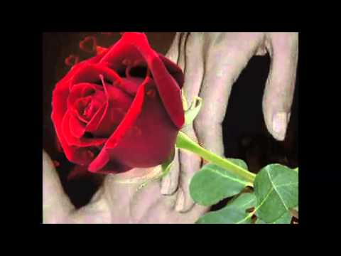 Jim Reeves Roses are red my love - YouTube