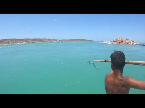 Turtle hunting