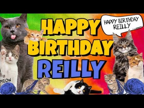 Happy Birthday Reilly! Crazy Cats Say Happy Birthday Reilly (Very Funny ...