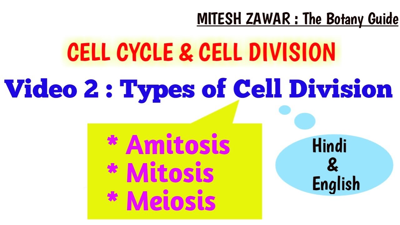 Types of Cell Division || Cell Division types || Amitosis, Mitosis and ...