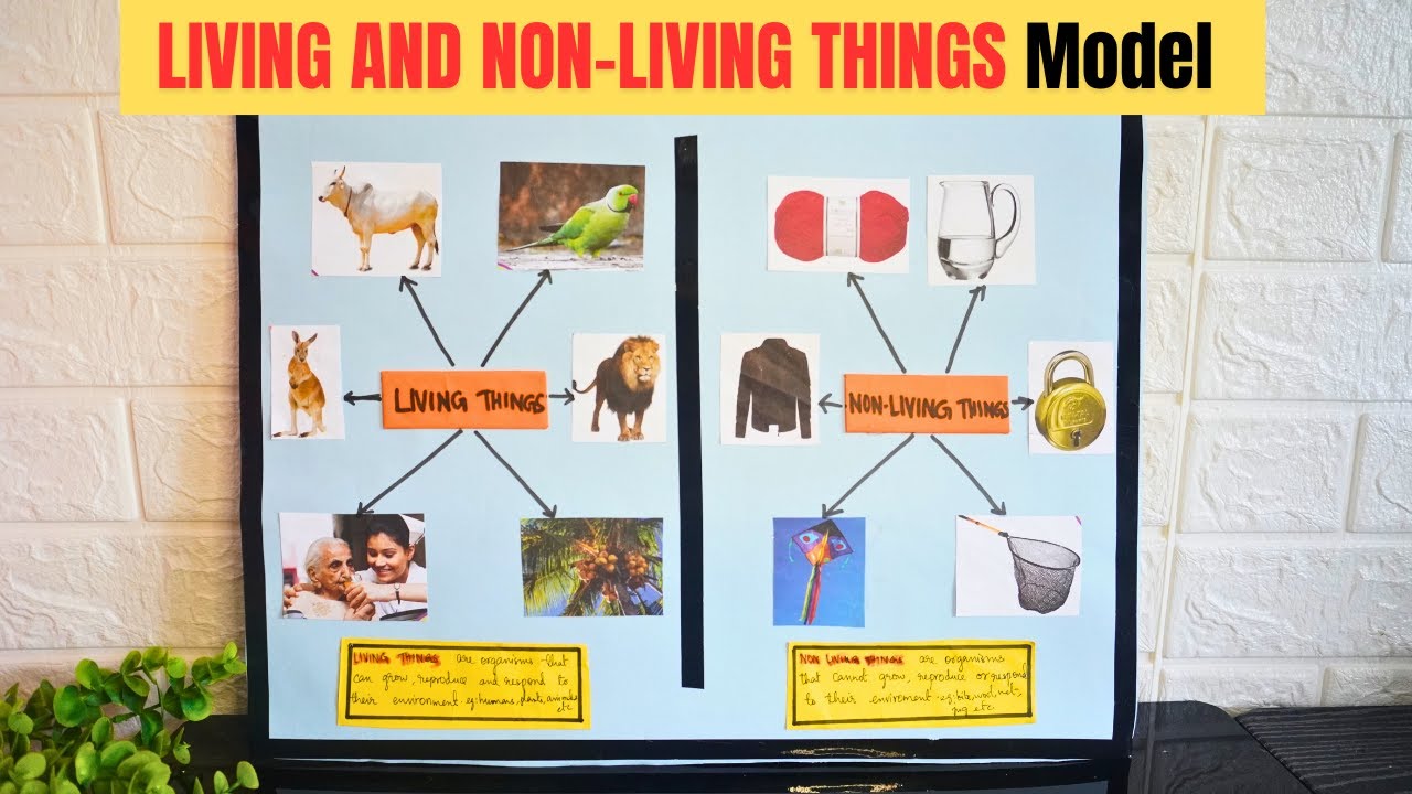 Living Things and Non-Living Things Model |Science Exhibition model ...