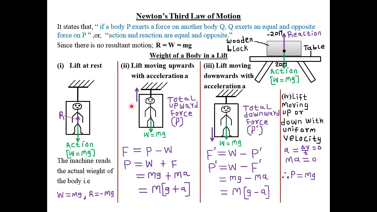 NEWTON'S LAWS OF MOTION: LESSON 5 - YouTube