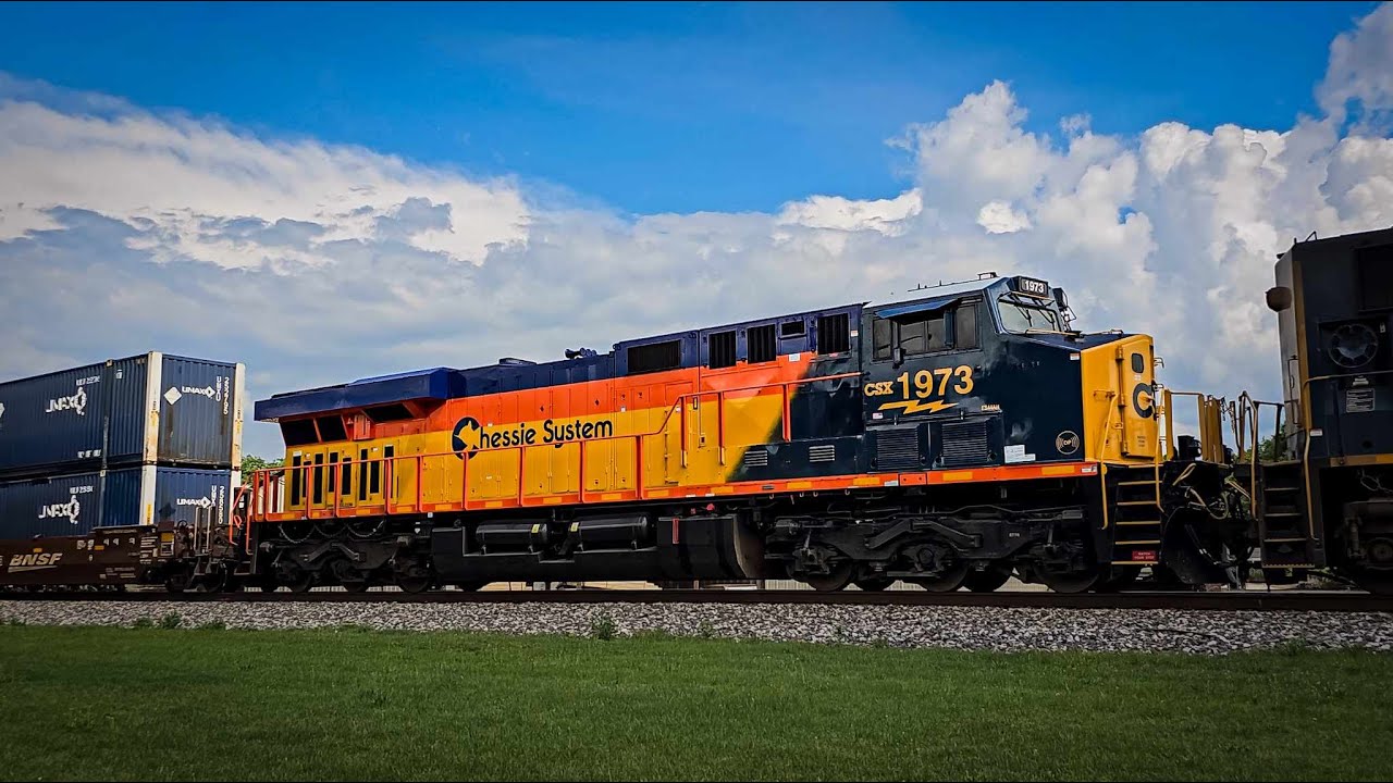 CSX 1973 Chessie Heritage Locomotive: A Stunning Lash Up - YouTube