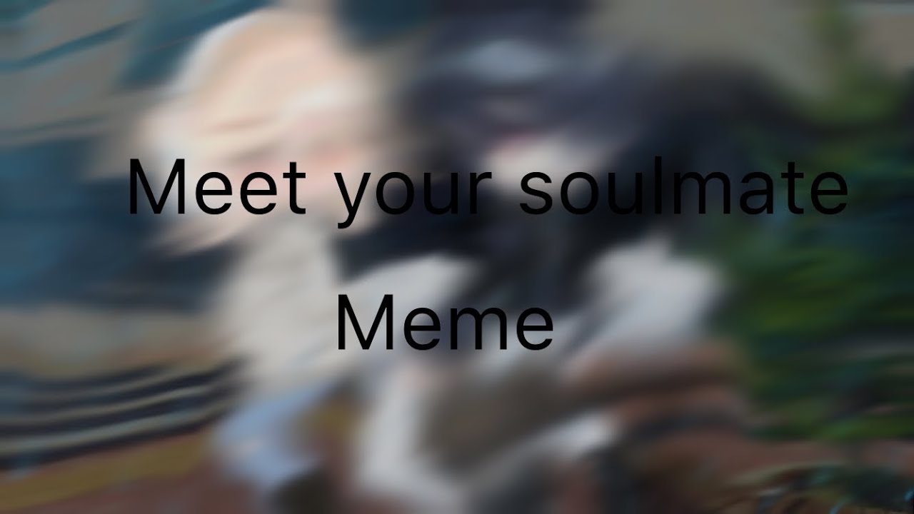 Meet your soulmate||Meme||original I think - YouTube