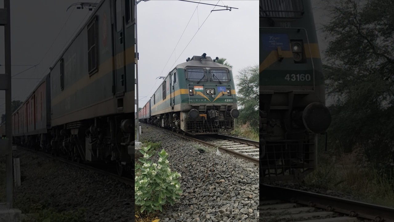 WAG9HC hauling HCPV LHB Rake #train - YouTube