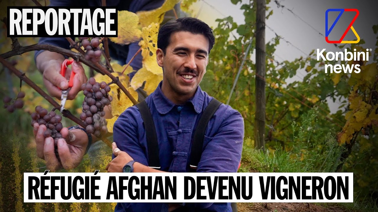 Réfugié d'Afghanistan, Haroon est devenu vigneron en Alsace| Reportage ...