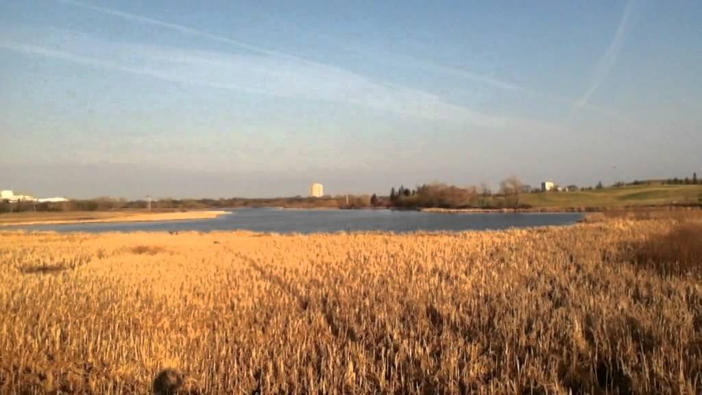 Under The Influence Of Alison - Leon Herperger - YouTube