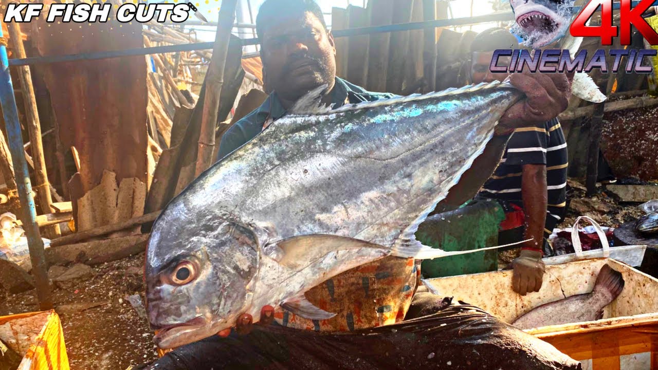 KASIMEDU BULLET SPEED SELVAM🔪MIRROR TREVALLY FISH CUTTING🔪KF FISH CUTS ...