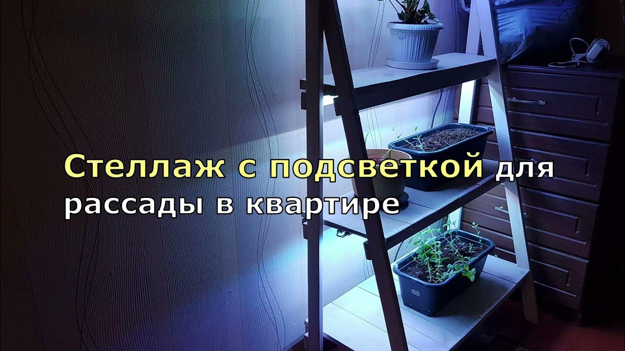 Стеллаж с подсветкой для рассады в квартире. Идеи своими руками. - YouTube