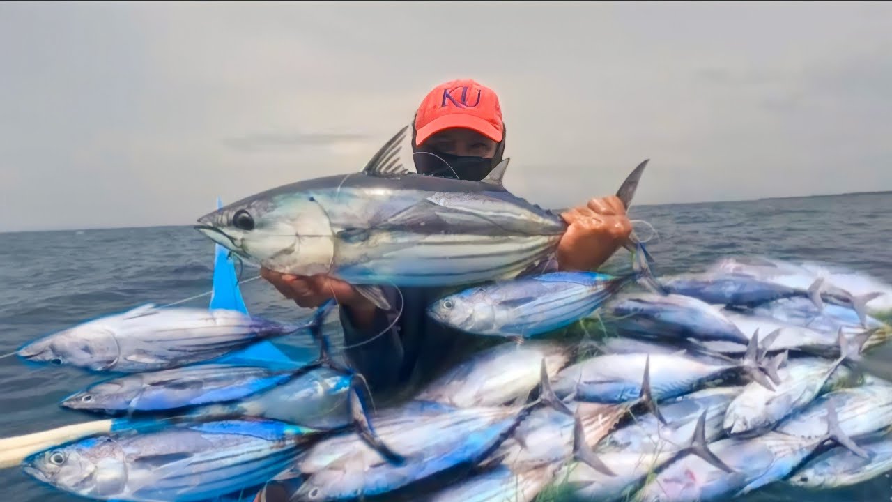 Pinaka Marami at Malalaking Skipjack Tuna "Gulyasan" na aming Nahuli ...