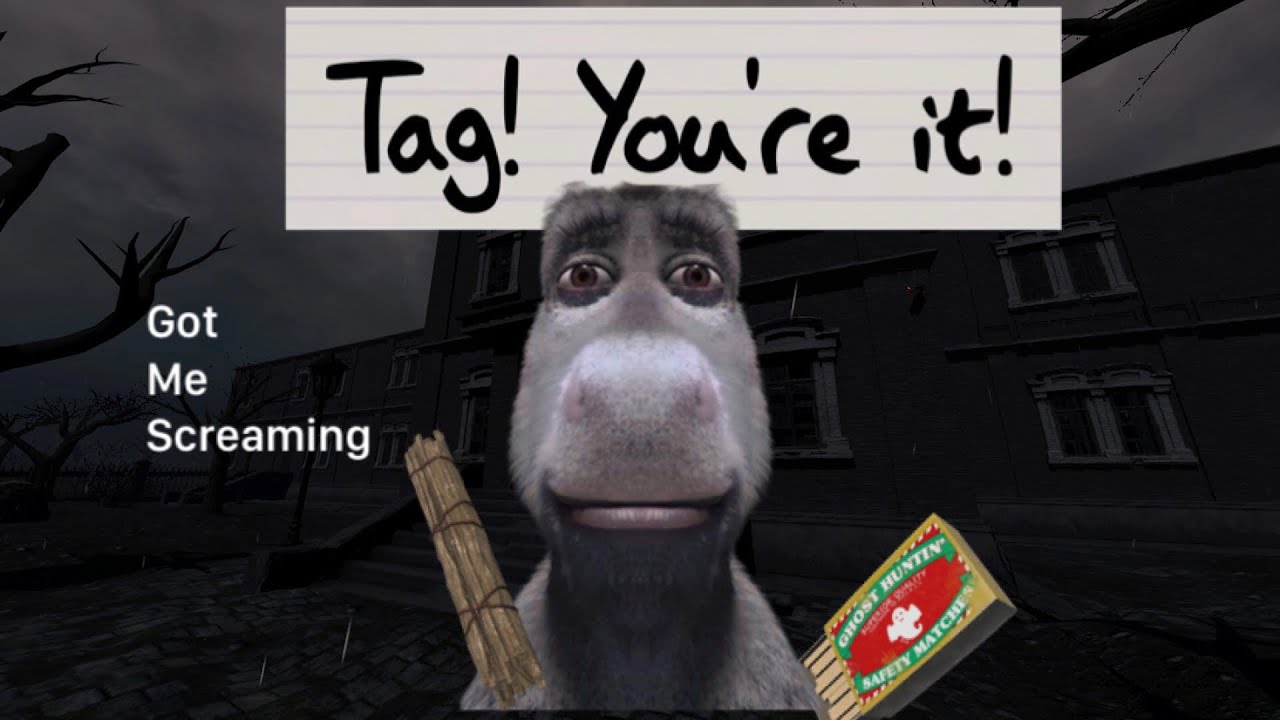 Tag you’re it challenge got me screaming phasmophobia - YouTube