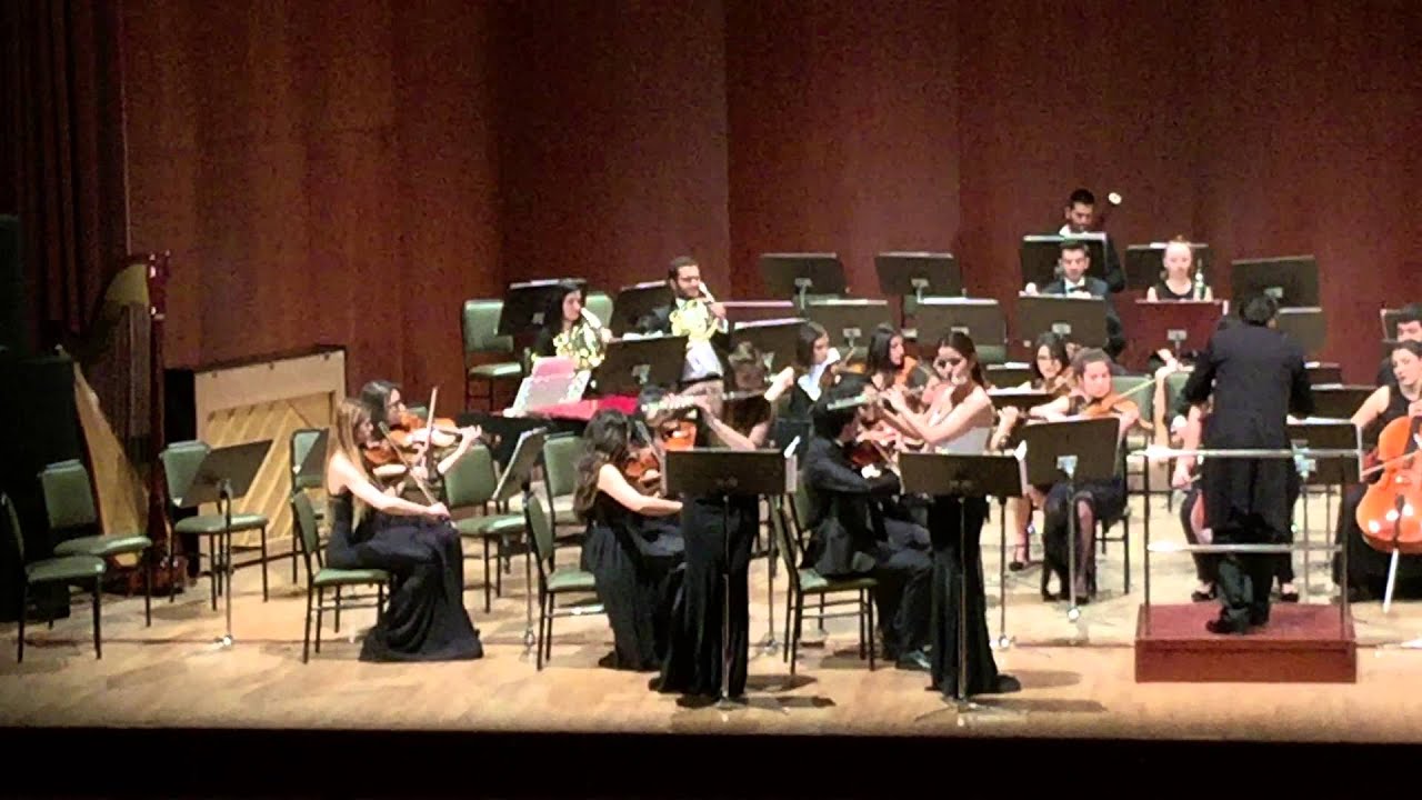 Cimarosa concerto for two flutes (nazlıcan etike-ilayda bayram) - YouTube