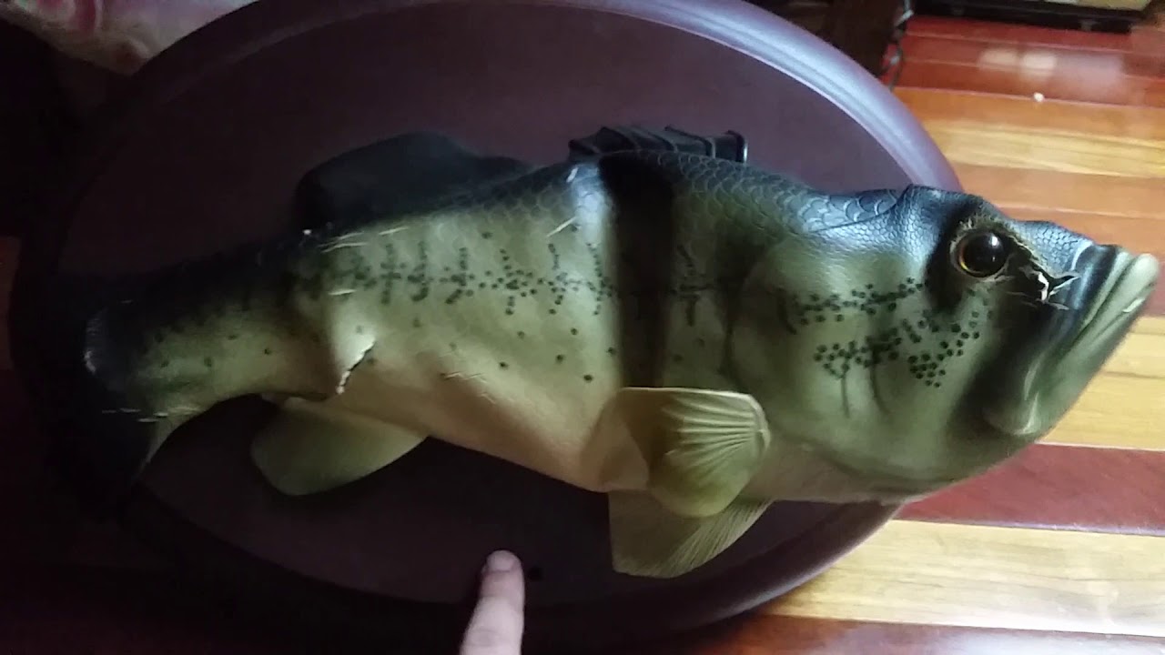 Boogie bass the singing fish - YouTube
