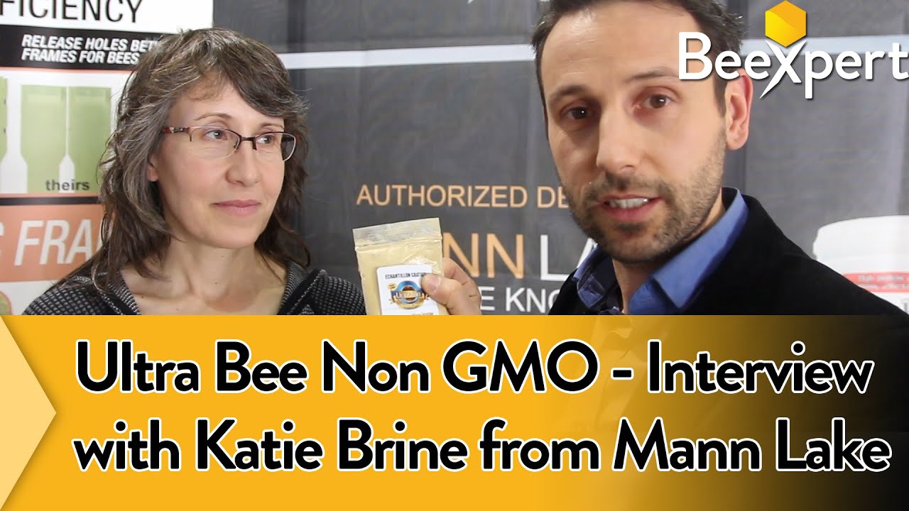 Ultra Bee Non GMO - Interview with Katie Brine from Mann Lake - YouTube