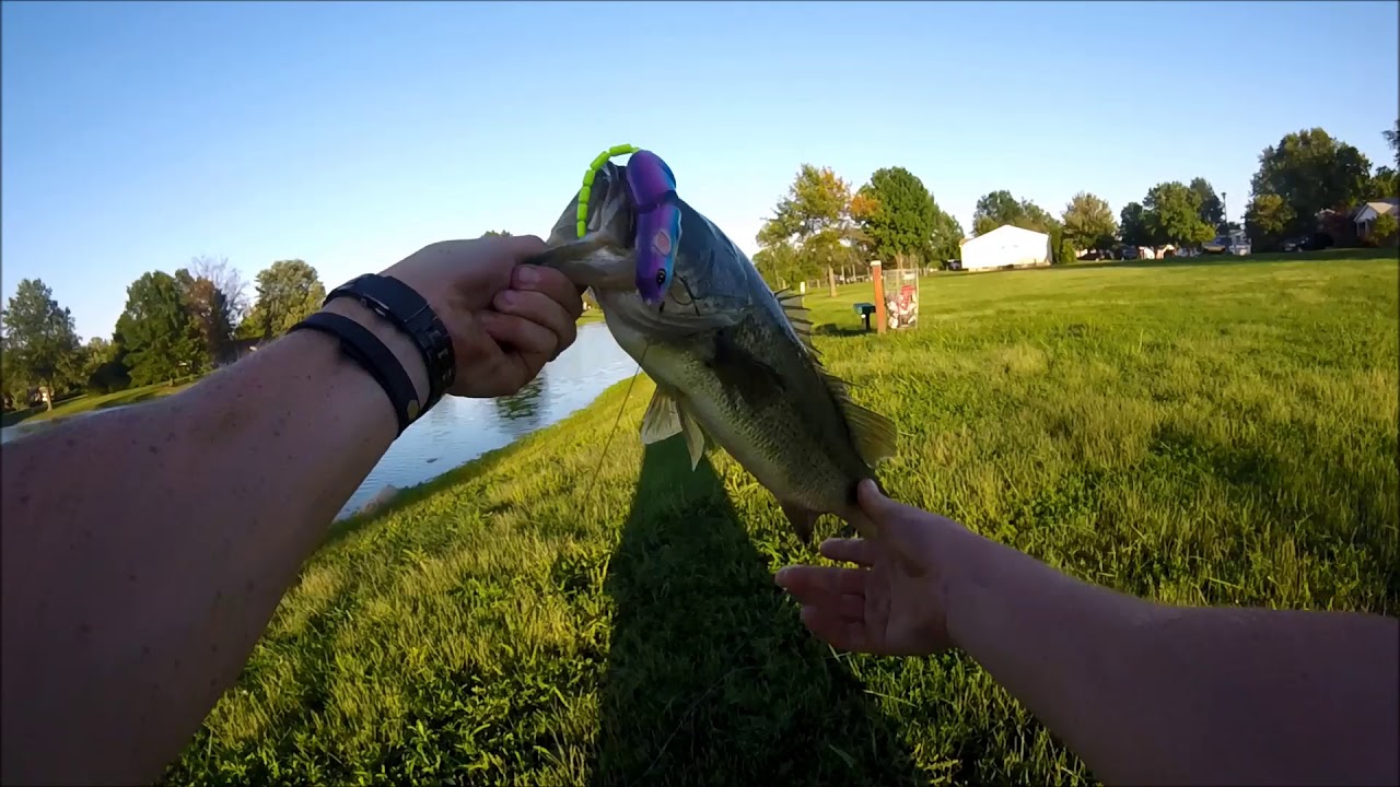 SPRO BBZ-1 Rat - YouTube