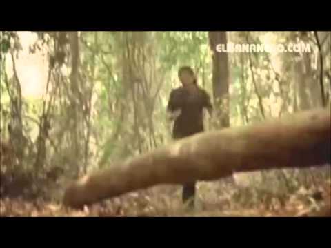 Llego el Lechero! - YouTube