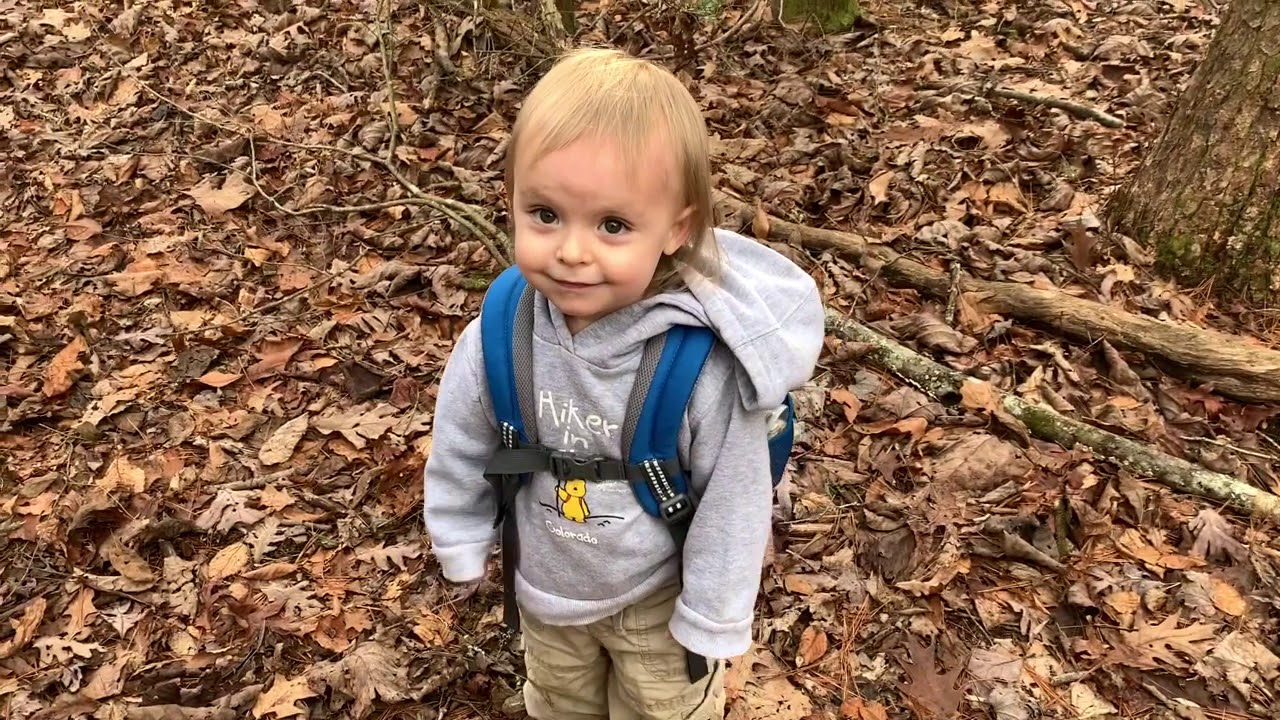 2 year old brave backpacker loves the woods. - YouTube