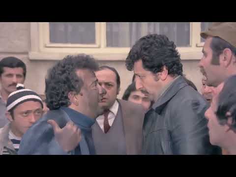 Halim vs Selim (Aslan Bacanak)
