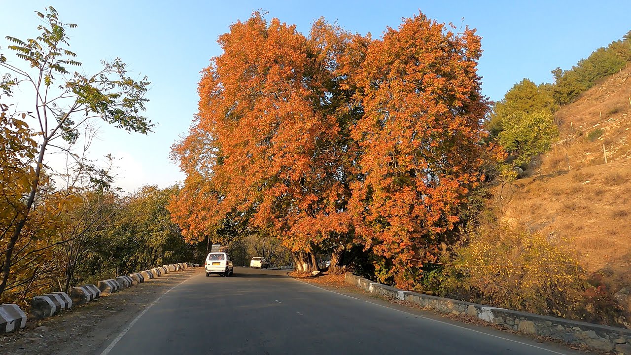 Kashmir-2022: Bhaderwah - Pahalgam Journey | Autumn Colors | Road ...