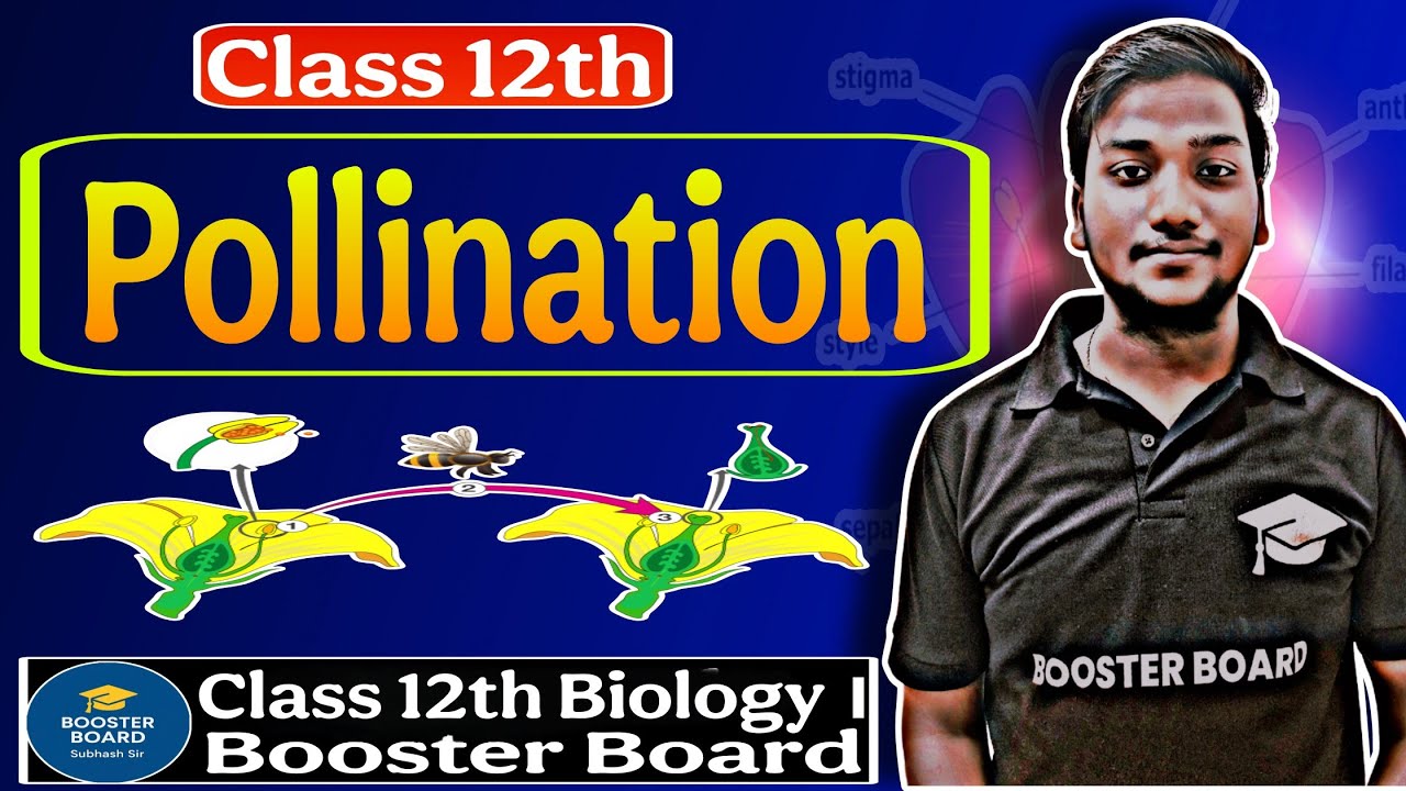 POLLINATION |Class 12th| (Biology) #boosterboard #subhashsir - YouTube