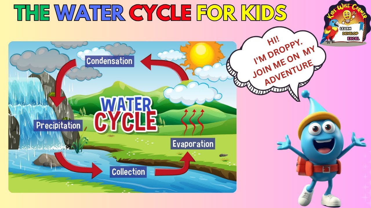 The Water Cycle! | Follow Droppy’s Journey! - YouTube